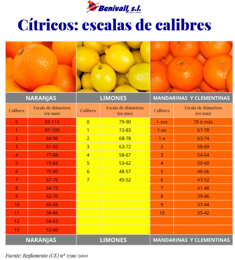 Escalas de calibres – Benivall Export Import – Naranjas de Valencia
